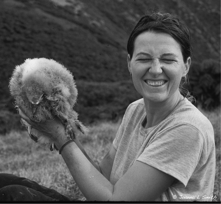 Seabird Research | Birdsmith Ecological Research